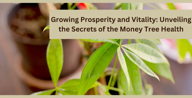Growing Prosperity and Vitality: Unveiling the Secrets of the Money ...